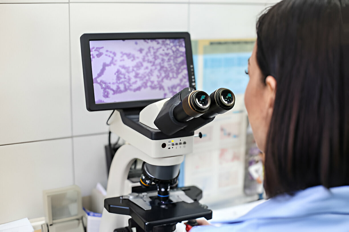 Dermatología veterinaria: los problemas de la piel más comunes en ...